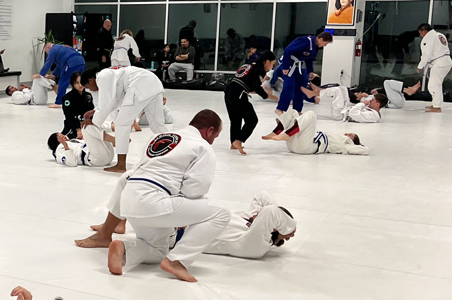 Houston - Team Tooke Mixed Martial Arts Cypress